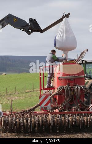 Farmer filling seed hopper on planter Stock Photo - Alamy