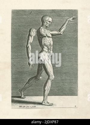 Ecorché, to right, Foundations of drawing (series title), Instructions ...