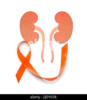 Orange awareness ribbon and paper kidneys on white background Stock ...