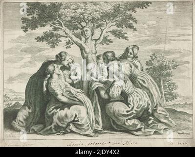 Birth of Adonis; Metamorphoses from Ovid. Adonis is born from the split ...