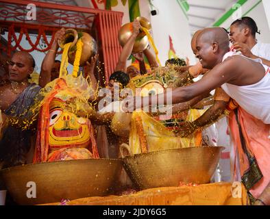 Hindu priests pour milk on top of deities Lord Jagannath, Balabhadra ...
