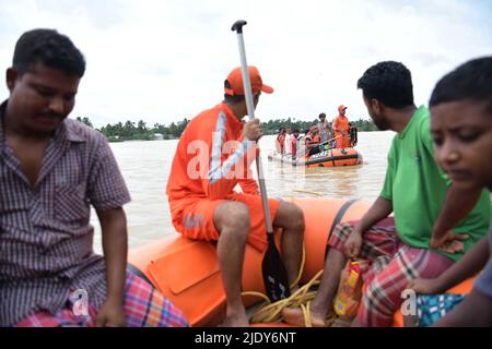 NDRF - National Disaster Response Force men removing uprooted fallen ...
