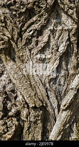 pale colors watercolor painted background texture Stock Photo - Alamy