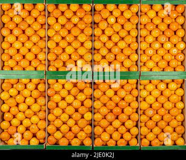 Heap of fresh Tangerine Pieces Stock Photo - Alamy