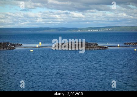 Digby Salmon fish farm pens and boats in fog at Annapolis Basin St ...