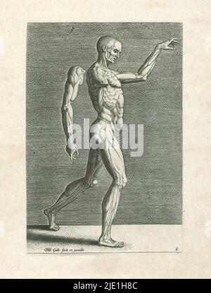 Ecorché, to right, Foundations of drawing (series title), Instructions ...