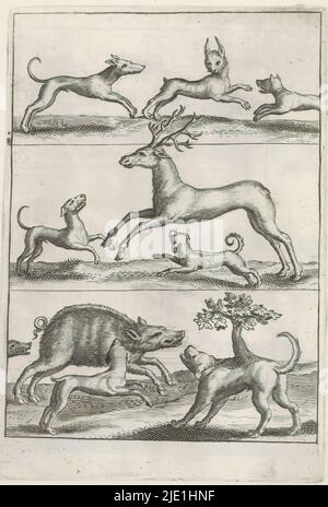 Two hunting dogs chasing a hare that is hiding in the grass. Etching ...