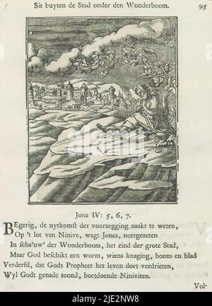 Jonah under the wonder tree. God makes a wonder tree growing so that ...