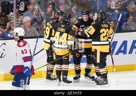 Hamilton Bulldogs' Ryan Winterton, second from right, celebrates his ...