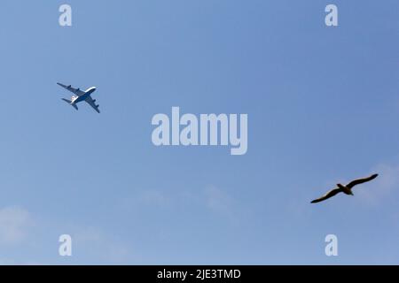 A bird flies below a British Airways A380 aircraft. (Photo by Dinendra ...