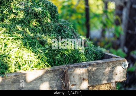 Compost, Compost Pile, Compost Box Stock Photo - Alamy