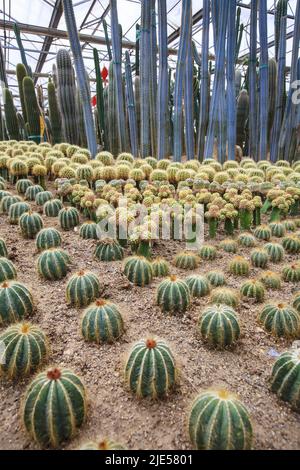 Zhejiang ningbo tourism scenic spots yinzhou Stock Photo - Alamy