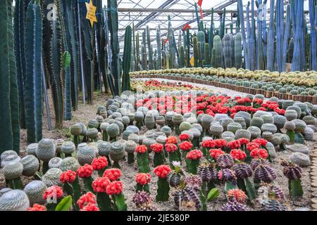 Zhejiang ningbo tourism scenic spots yinzhou Stock Photo - Alamy