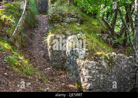 The Napoleonic forts are trenches which were dug in 1703 during the War ...