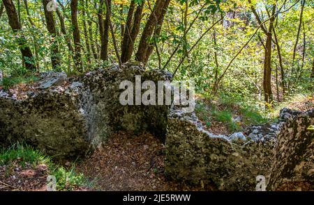 The Napoleonic forts are trenches which were dug in 1703 during the War ...