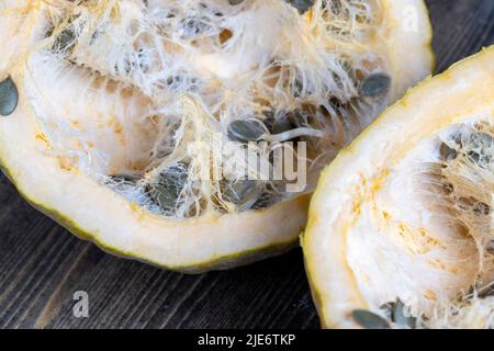 sprouted pumpkin seeds inside a pumpkin, seeds sprouting inside a ...