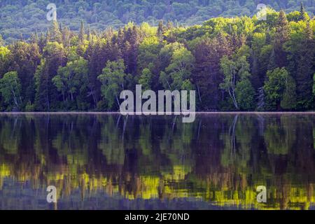 Canadian summer landscape in Laurentian mountains, Quebec Stock Photo ...