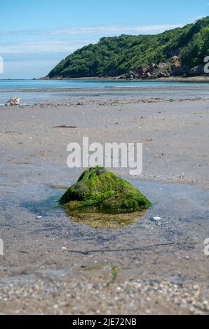 Beach in Summer Oxwich Bay Gower Stock Photo - Alamy