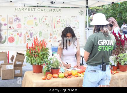 Padma Lakshmi book signing for her book Tomatoes for Neela Held at ...