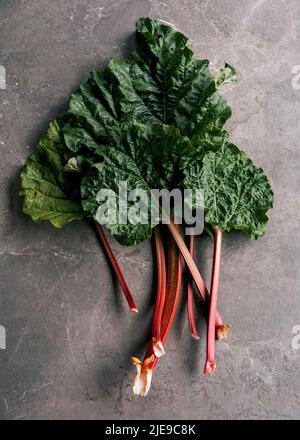 Timperley Early variety of Rhubarb Stock Photo - Alamy