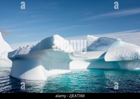 The Iceberg graveyard, Pleneau bay Port Charcot Antarctic peninsula ...