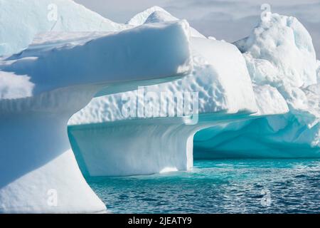 The Iceberg graveyard, Pleneau bay Port Charcot Antarctic peninsula ...