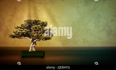 Japanese bonsai tree in dark room with empty place on side - nature 3D ...