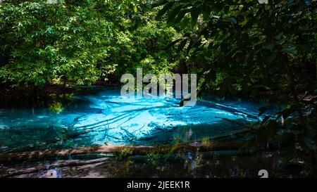 Emerald pool and Blue pool, trees, and mangroves with crystal clear ...