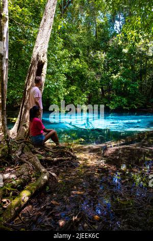 Emerald pool and Blue pool, trees, and mangroves with crystal clear ...
