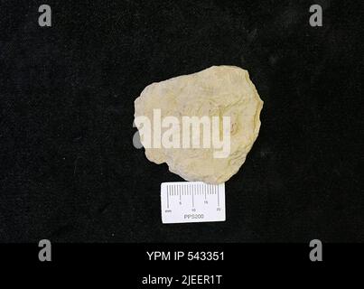 cf. Nereites missourensis Stock Photo - Alamy