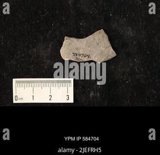 Clonograptus rigidus (Hall Stock Photo - Alamy