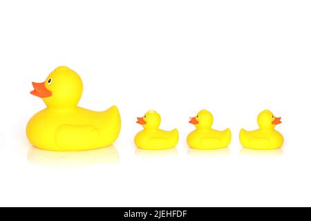 Vier gelbe Badeenten, Familie, Küken, Ente, Enten, Badeente, Badeenten ...