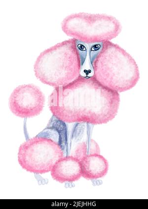Cartoon girl with poodle dog character coloring book page Stock Photo ...