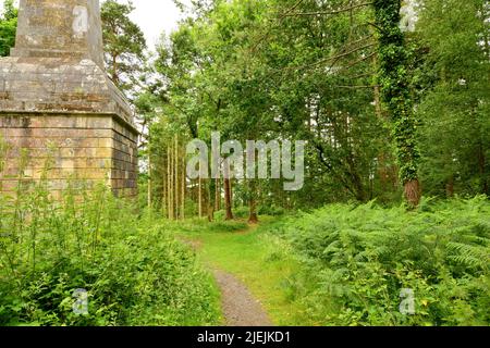 Mamhead Obelisk Haldon Hill Stock Photo - Alamy