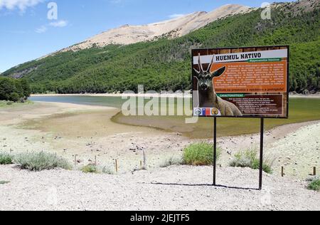 Huemul Lagoon in Patagonia, Chile. Huemul is the south andean deer ...