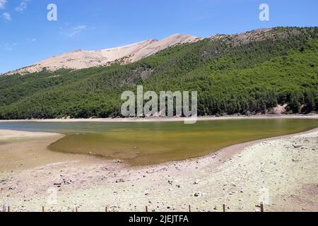 Huemul Lagoon in Patagonia, Chile. Huemul is the south andean deer ...