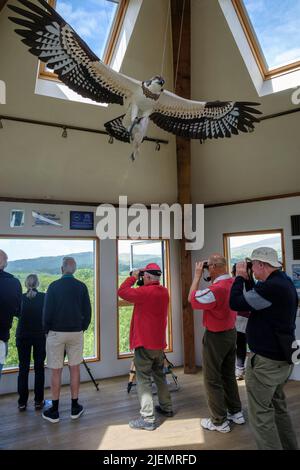 The 360 Observatory, Dyfi Osprey Project, near Machynlleth, Wales Stock ...