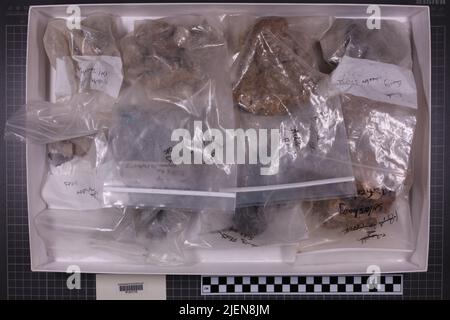 mixed taxa, stratigraphic collection Stock Photo - Alamy