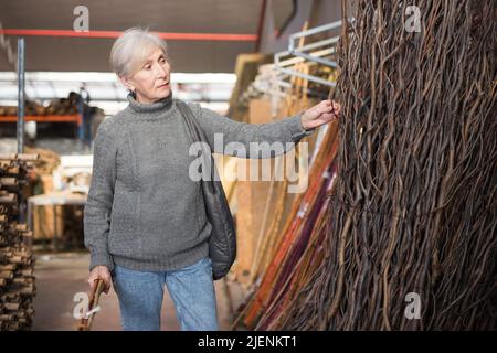 Senior woman choosing decorative branches in store Stock Photo - Alamy