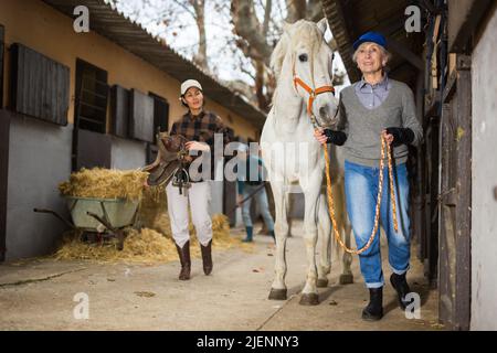 Backyard of stables on typical autumn day - horse walking Stock Photo ...