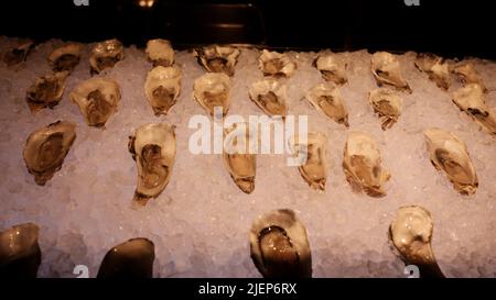 Oysters at the International Self serve Buffet Stock Photo - Alamy