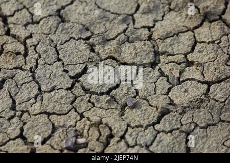drought - dry land without water Stock Photo - Alamy