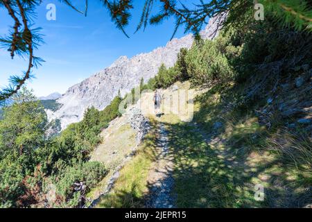 Hiking near Bormio city in Northern Italy, Europe, Alps Stock Photo - Alamy