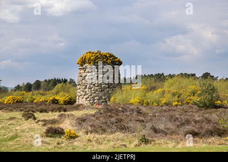 marker of the battle of culloden at the culloden visitors centre ...