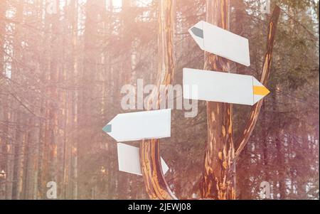 Blank dirrection signs with copy space in the mountain forest Stock ...