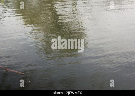 Waves and ripples wandering thru the surface of the water Stock Photo ...