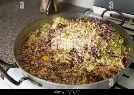 Masses of elder random flower blossom flowers used in organic homemade ...