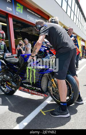 20 QUARTARARO Fabio (fra), Monster Energy Yamaha MotoGP Team, Yamaha ...