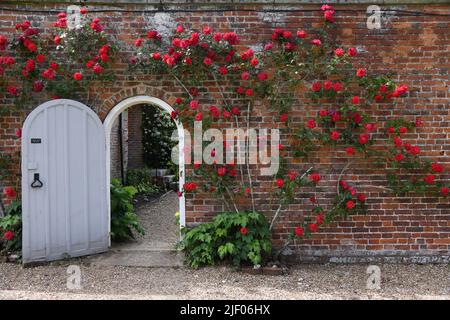 Open gate leading to a rose garden Stock Photo - Alamy