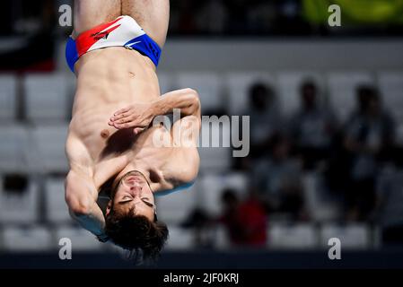 BOUYER Jules FRA3m Springboard Men Semifinal Diving FINA 19th World ...